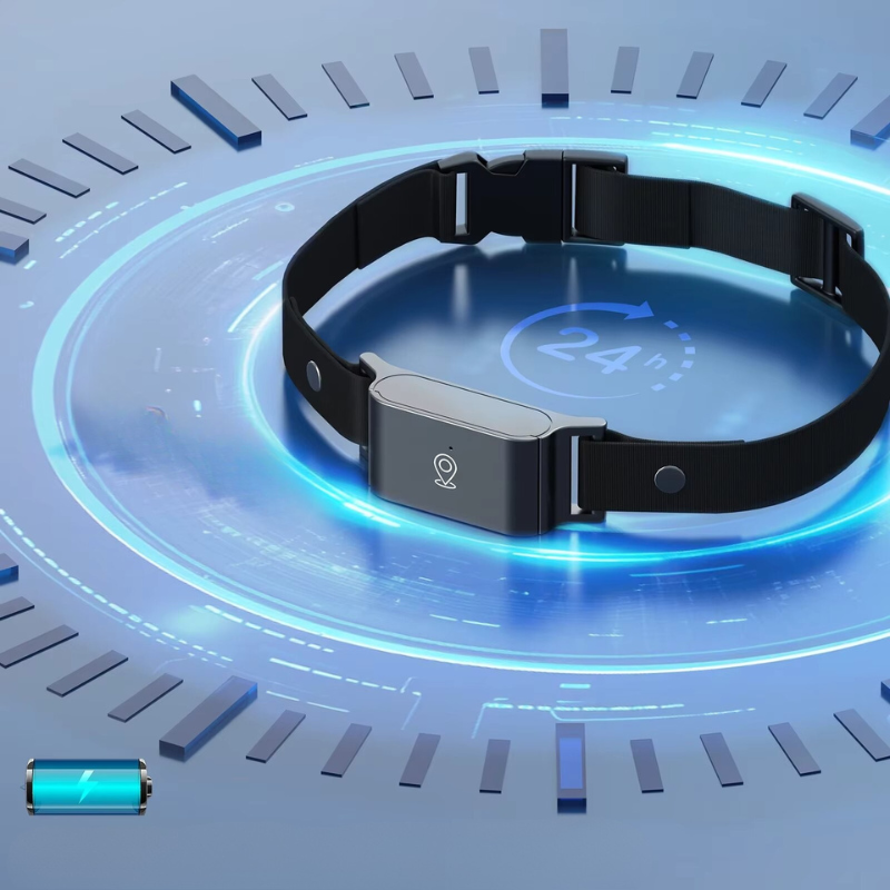 GPS beacon for dog and cat handy and handy