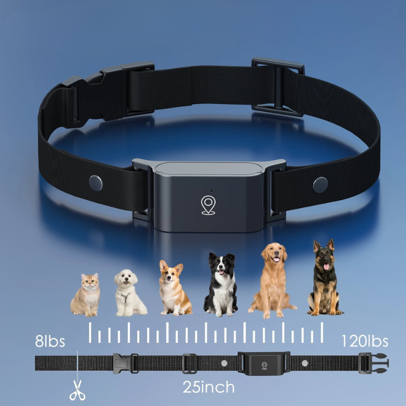 GPS beacon for dog and cat handy and handy