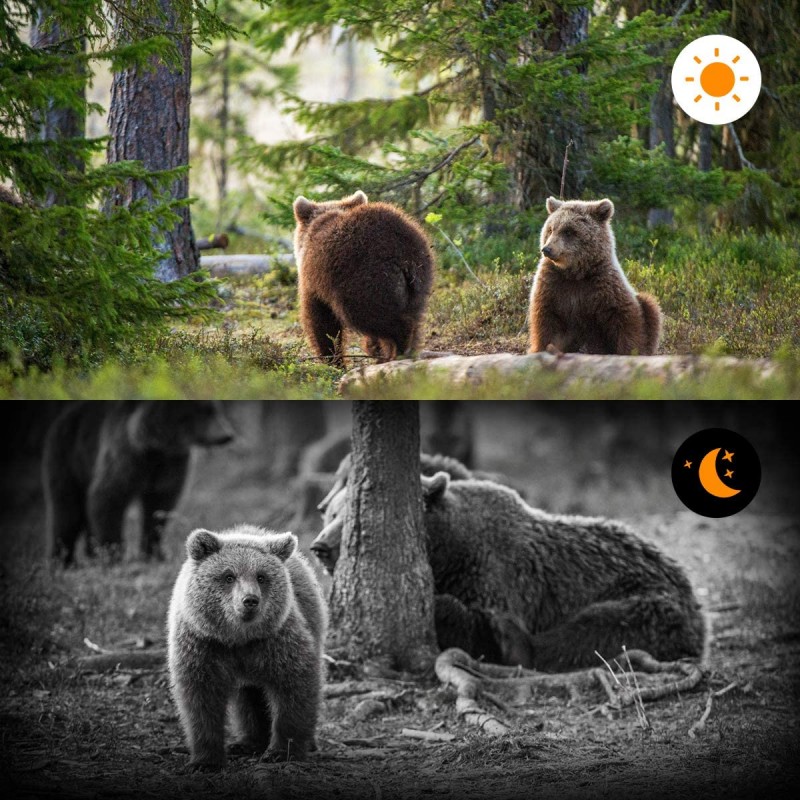 Caméra de chasse avec capteur PIR