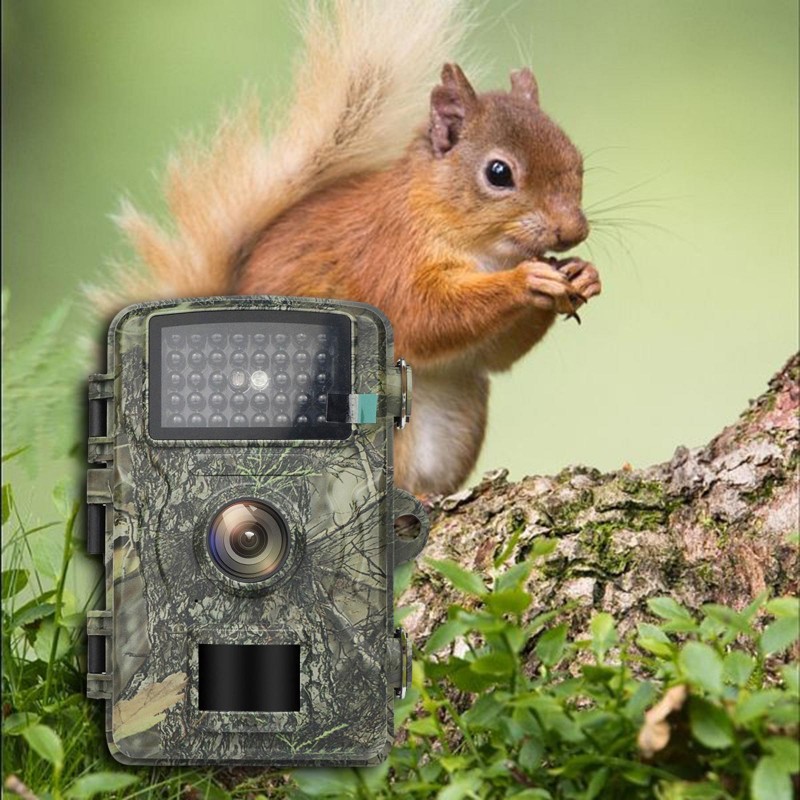 16 million pixel hunting camera equipped with Time Lapse