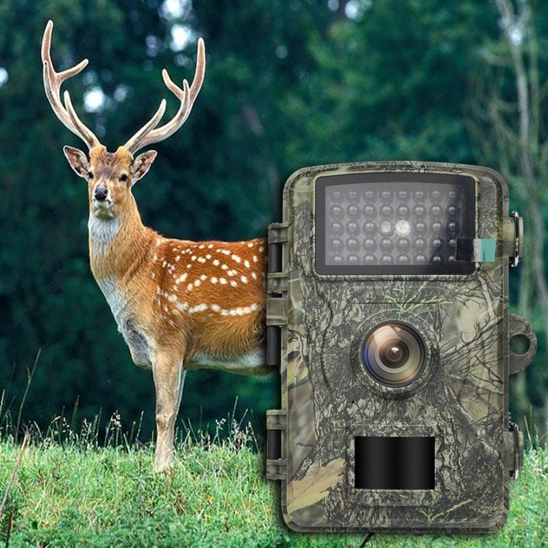 16 million pixel hunting camera equipped with Time Lapse
