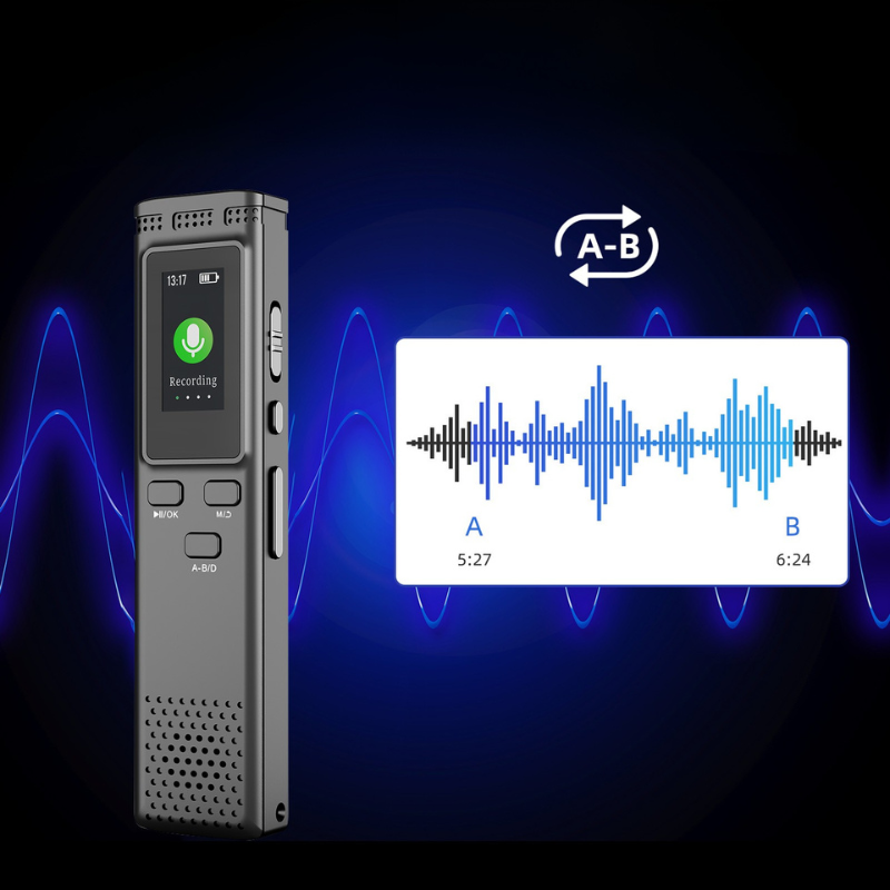 Audio Recorder Offering Perfect Recording And Playback Quality
