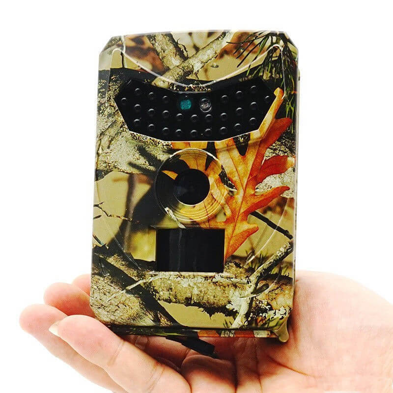 Caméra animaliere hd avec capteur automatique Mémoire Non-inclus