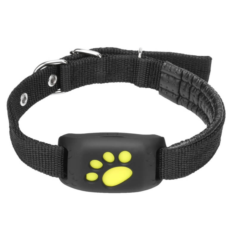 Balise GPS pour assurer la sécurité de votre animal de compagnie Balise GPS pour assurer la sécurité de votre animal de compagnie